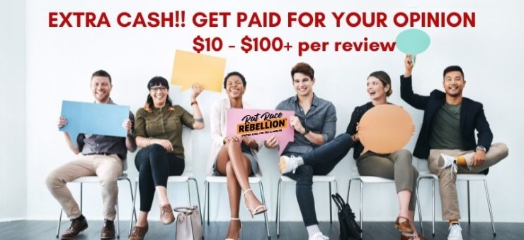 EXTRA CASH - Get Paid to Review Websites & Apps - Work From Home Jobs ...